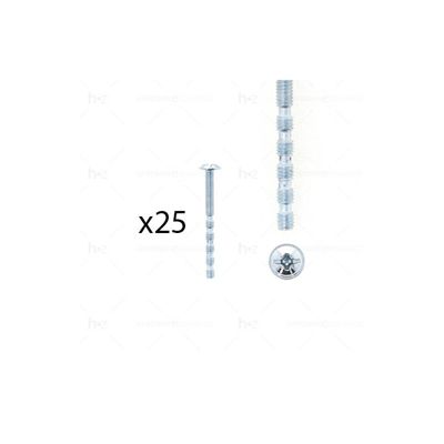 1 kit composés de 25 vis M4X45 mm zinguée, Lot de 6