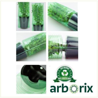 2 x Bruyère des neiges Rouge - Erica darleyensis - 15-20 cm pot