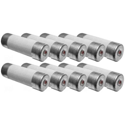 30 fusibles céramique 8,5x 31,5 20A à voyant NF - Zenitech