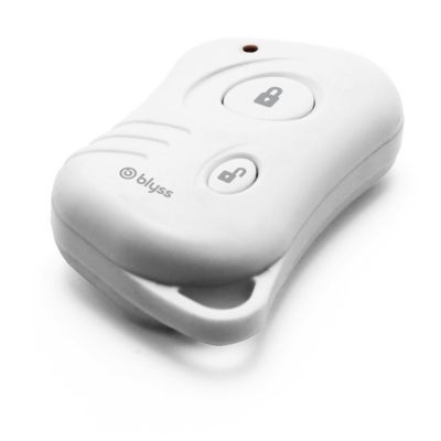 TéléCommande pour mini alarme Blyss | Castorama