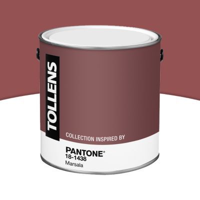 Peinture murs et boiseries Tollens Pantone 18-1438 marsala satin 2L ...