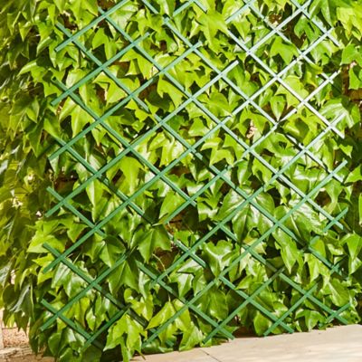 Treillis extensible pvc vert 1 x 2 m | Castorama