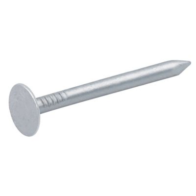 Clous à tête plate en acier galvanisé 3x40 - 1kg | Castorama