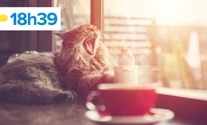 Bricolage, jardinage et aménagement de la maison | Castorama