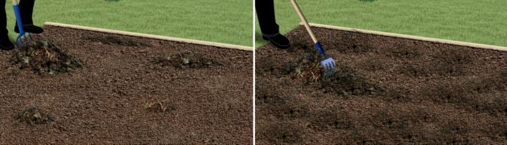 Comment semer du gazon | Castorama