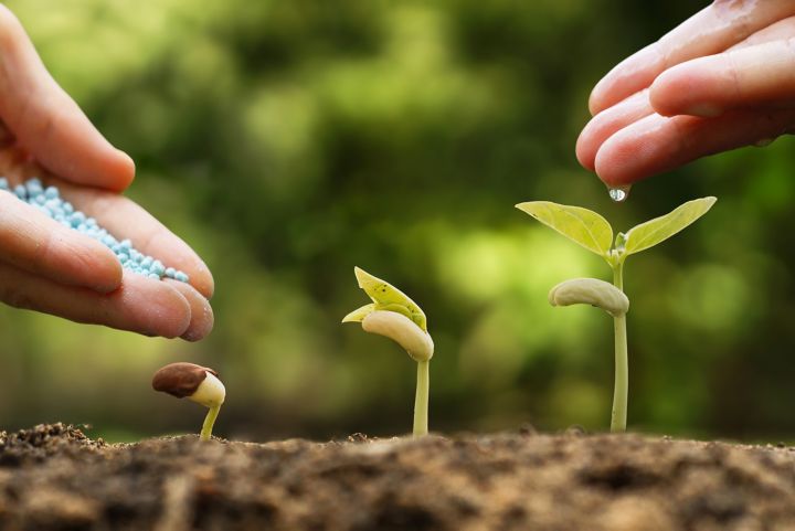 Favoriser la croissance des plantes | Castorama