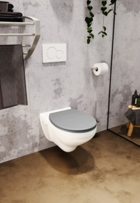 Abattant WC déclipsable gris mat, Allibert Dolcéo