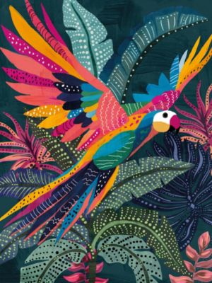 Affiche perroquet multicouleurs l.60 x l.80 cm Dada Art | Castorama