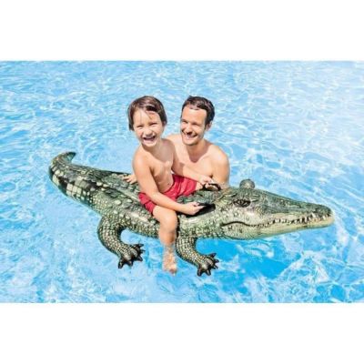 Alligator à chevaucher - Intex