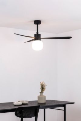 AMELIA L BALL LED Ventilateur de plafond noir