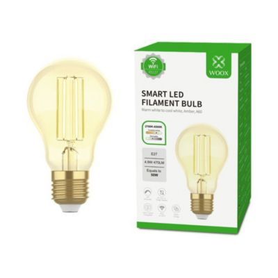 Ampoule Design à Filament E27 A60 R5137