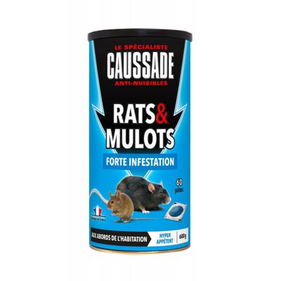 Appâts anti-nuisibles rats et mulots 600g | Castorama