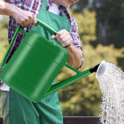 Arrosoir en plastique 12 L avec pomme d'arrosoir