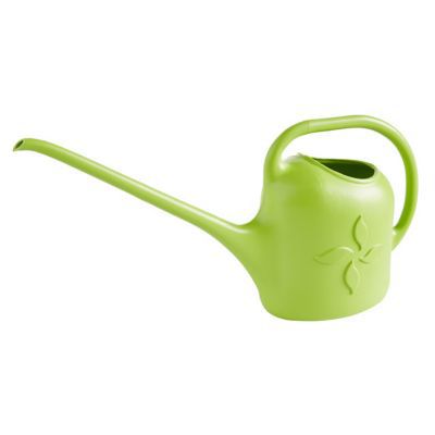 Arrosoir long bec EDA pistache 2L | Castorama