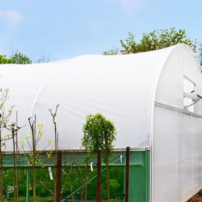 Bâche de serre diffusante Lumisol 200 microns - Long 6 m, Larg 15 m | Castorama