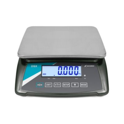 Balance Industrielle de Table Accurex Série DSX - Gram - l30- L0.1- P34 ...