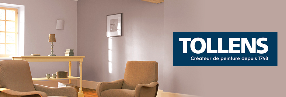 PEINTURE TOLLENS | Castorama