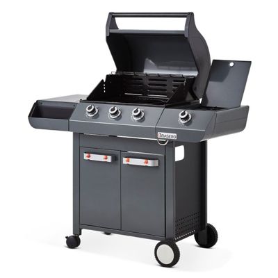 Barbecue Emma Gun Metal 3 Feux + 1 Side - BRASERO - FlexiGrill ...