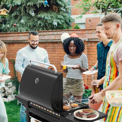 Barbecue Gaz 24000BTU 7,05 KW avec 3 Brûleurs+3 Grilles+2 Tablettes ...