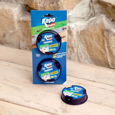 Boîte appat fourmis Kapo Expert 2 x 10g