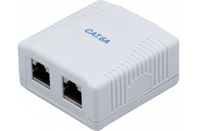 Boitier mural RJ45 2 ports Cat 6a STP CONECTICPLUS