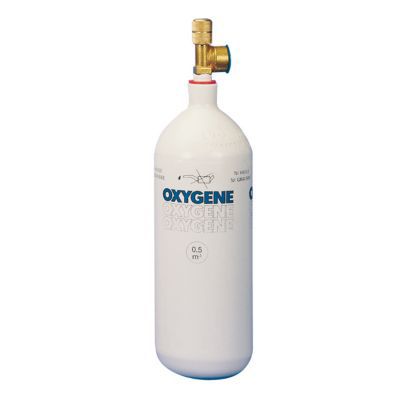 Bouteille vide Oxygène Oxypack Campingaz 500L | Castorama