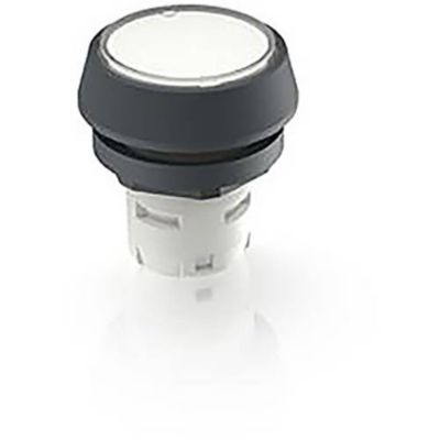 Bouton-poussoir RAFI 1.30.070.271/0200 rond 16,2 mm blanc, 1 NO, 250 V, 2 A