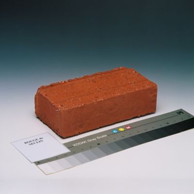 Brique terre cuite rouge de Seclin 22 x 10,5 x 6 cm | Castorama