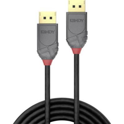 Câble de raccordement LINDY DisplayPort mâle vers DisplayPort mâle ...