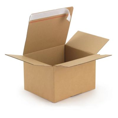 Carton d'emballage 16 x 12 x 11 cm - Double cannelure | Castorama