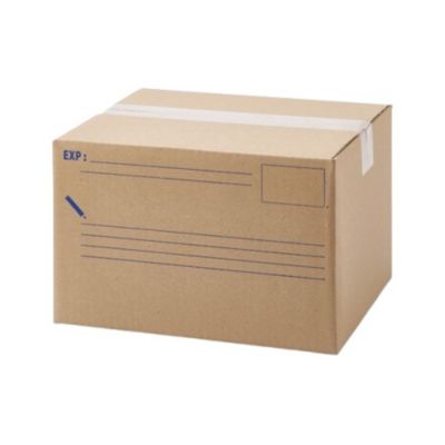 Carton d'expédition 15L L.300X l.250X H.2 mm Mottez | Castorama