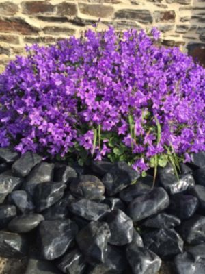 ClassGarden - Galet Noir Mat 40-60 sac 20 Kg