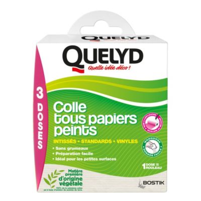 Colle en poudre pour tous papiers peints Quelyd 150g