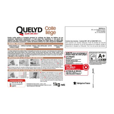 Colle Murale Quelyd pour Liège Pâte 1 kg