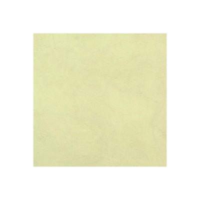 COLORANT POUR BÉTON CIRÉ Crème Ivoire - 250 ml - ARCANE INDUSTRIES