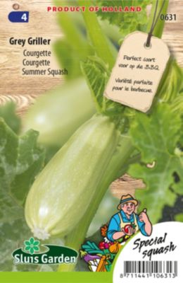 Courgette Grey Griller F1 Semences - Légumes ou plantes à fruit - Ca. 8 ...