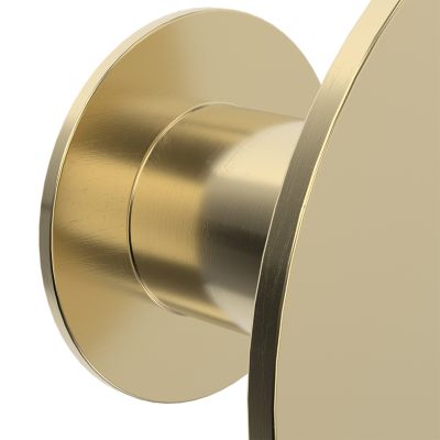 Crochet pour salle de bain en acier inoxydable or Cavally GoodHome