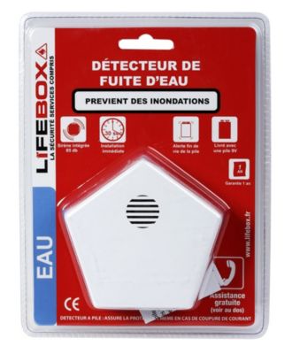 Détecteur de fuite d'eau Lifebox DETCE01 | Castorama