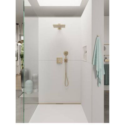 Douche de tête HANSGROHE Raindance E, 1 jet avec bras de douche bronze ...