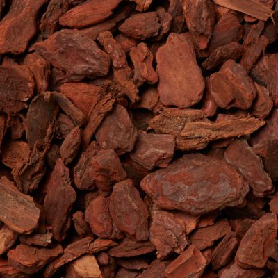 Ecorces pin maritime GoodHome 50L | Castorama