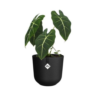 ELHO - Pot Et Jardiniere - 8711904536770