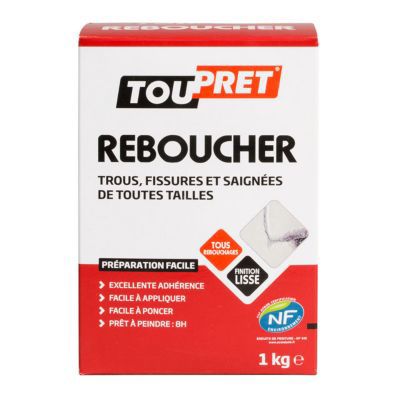 Enduit de rebouchage. Poudre 1 kg | Castorama