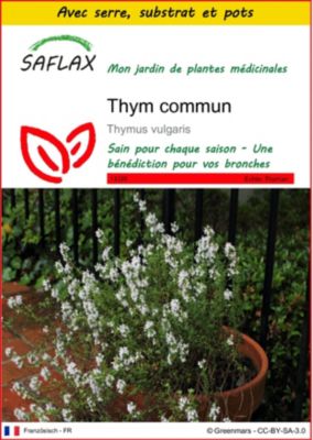 Ensemble de culture - Thym commun - 200 graines - Thymus - SAFLAX