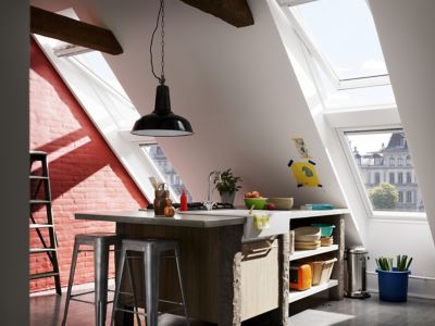 Fenêtre de toit à rotation VELUX Confort Everfinish - polyuréthane L ...