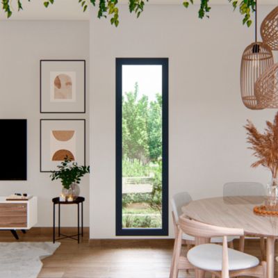 Fenêtre fixe double vitrage GoodHome en aluminium gris l.63 x H.217 cm ...