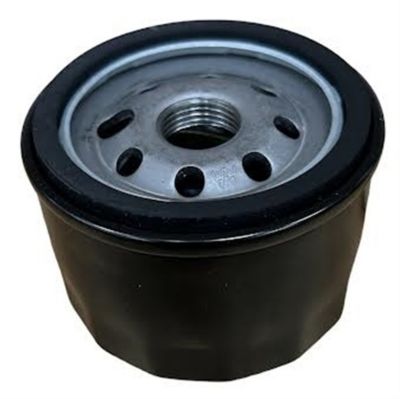 Filtre à huile pour BRIGGS & STRATTON référence :492932 - 842921 ...