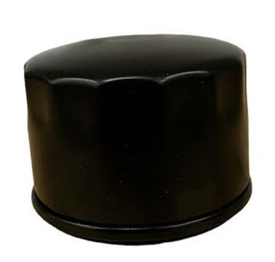 Filtre à huile pour BRIGGS & STRATTON référence :492932 - 842921 ...
