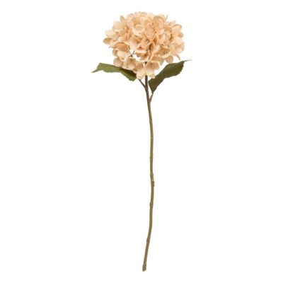 Fleur artificielle Fria H62cm- Beige- Atmosphera