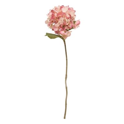 Fleur artificielle Fria H62cm- Beige- Atmosphera