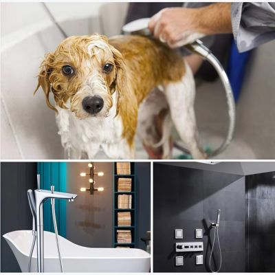 Flexible de douche anti-pli et torsion 2m